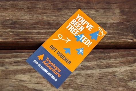 Treetops Adventure St Ives Family Friendly High Ropes Ziplines