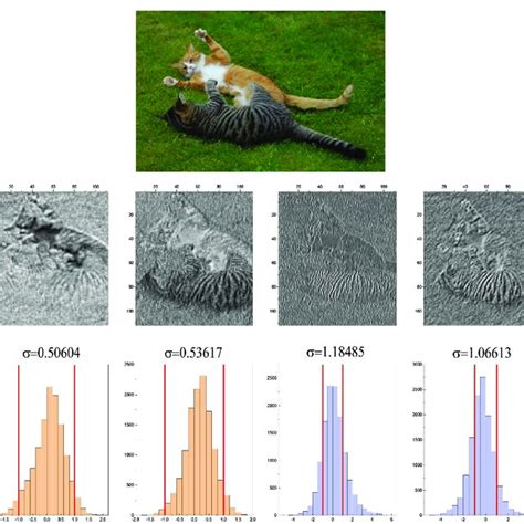 Feature Maps And Statistical Distributions In The 2 Nd Layer Of Our