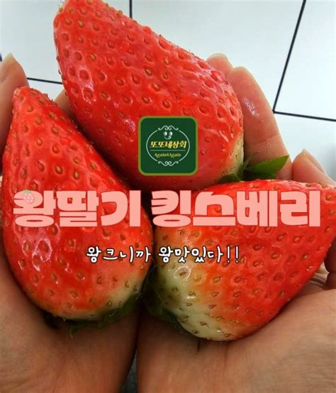 또또네상회 논산 산지직송 킹스베리딸기 왕딸기 후기 네이버 블로그