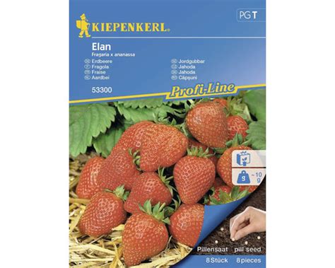 Gemüsesamen Kiepenkerl Erdbeere Elan Hornbach At