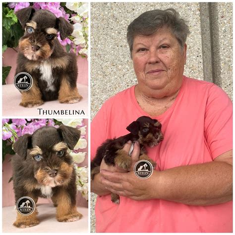 Stein Thumbelina Is Safe And Sound In The Arms Of Her Amazing Mother Stein Thumbelina Is Safe And Sound In The Arms Of Her Amazing Mother