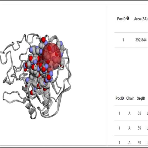 Homology Modelled Structure Of Thymidylate Synthase Of Mrsa Download Scientific Diagram