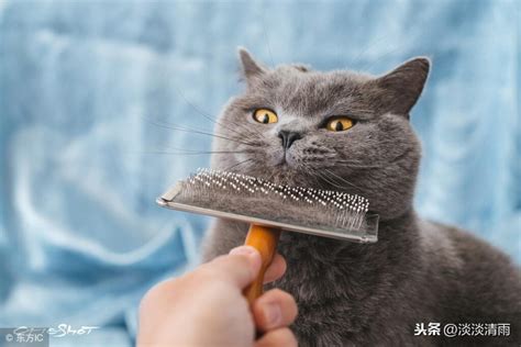 有意思的谐音歇后语有哪些有趣有梗的歇后语 工作号