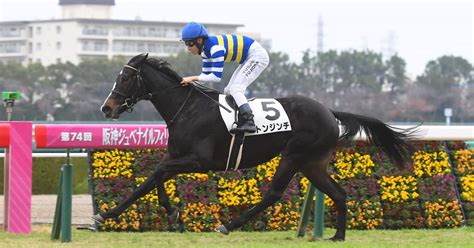【2歳新馬・阪神5r】3番人気トンジンチが鮮やかに逃げ切る サンスポzbat