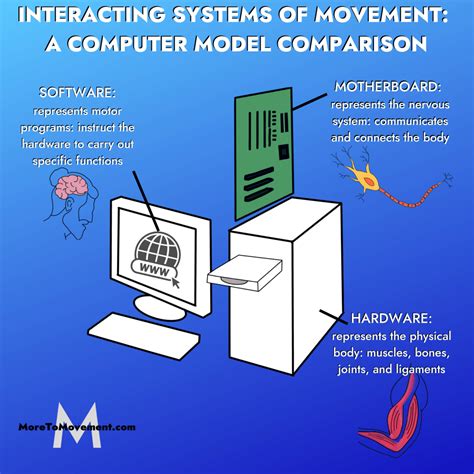 How We Move And Why It Matters The Foundations Of Movement More To Movement