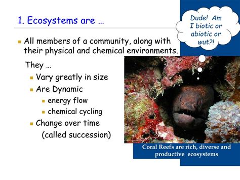 Ppt Interdependence Of Life Ecosystems Powerpoint Presentation Id
