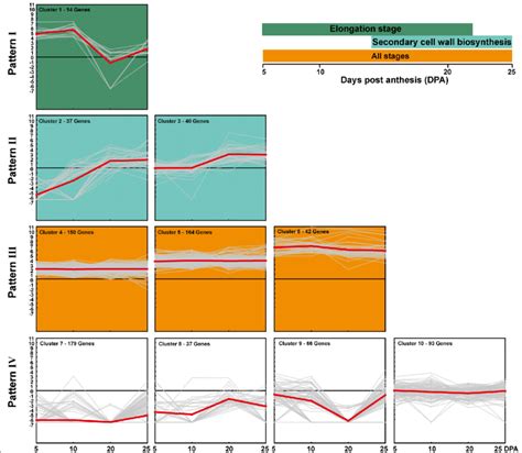 Expression Profiles Of These Genes In The Qtl Regions Cluster Analysis Download Scientific