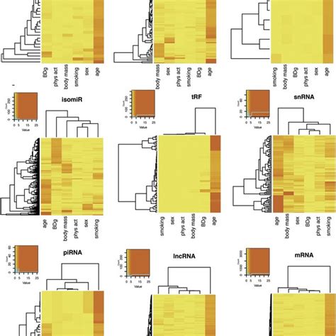heatmaps of the hierarchical clustering of −log10 p values adjusted for