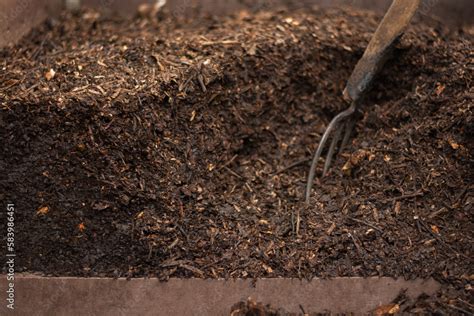 Mature Compost Ready To Use In Garden Produced In A Community Composter Concept Of Recycling