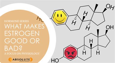 What Makes Estrogen Good Or Bad Absolute Health And Wellness