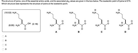 Solved The Structure Of Lysine One Of The Essential Amino Acids And