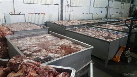 Эмээлтэд үйл ажиллагаа явуулдаг болон экспортын тусгай зөвшөөрөлтэй ААН
