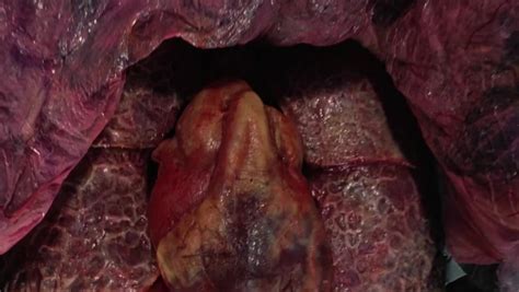 Scary Movie 3 Heart Edit