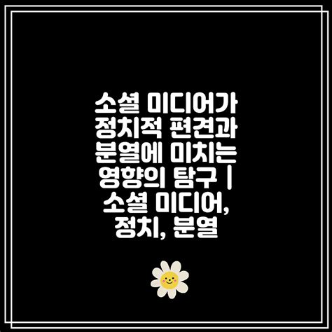 소셜 미디어가 정치적 편견과 분열에 미치는 영향의 탐구 소셜 미디어 정치 분열