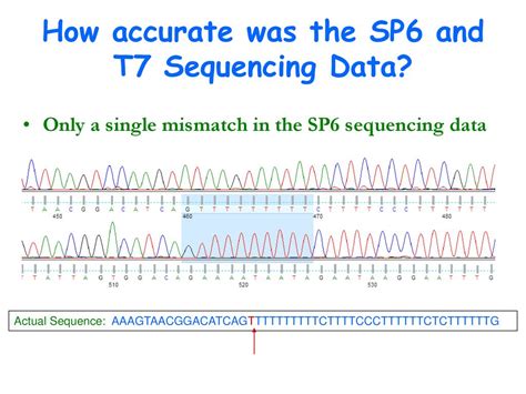 Welcome To The World Of Two Arabidopsis Genes Ppt Download