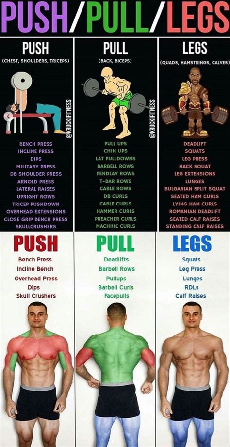 Pushpulllegs Workout Plan Workout Plan Gym Workout Training