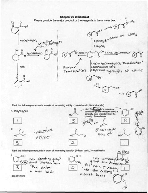 Chapter 20 Organic Chemistry Docsity