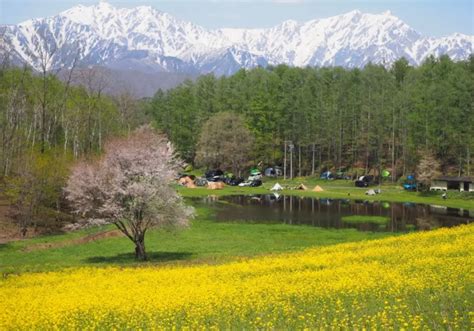 立山黒部アルペンルートと一緒に楽しめる絶景・花スポット！ 日本の観光メディアmatcha