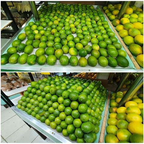 O Meu Trabalho é Enfiar Todas As Frutas No Cu Tenham Um Bom Dia