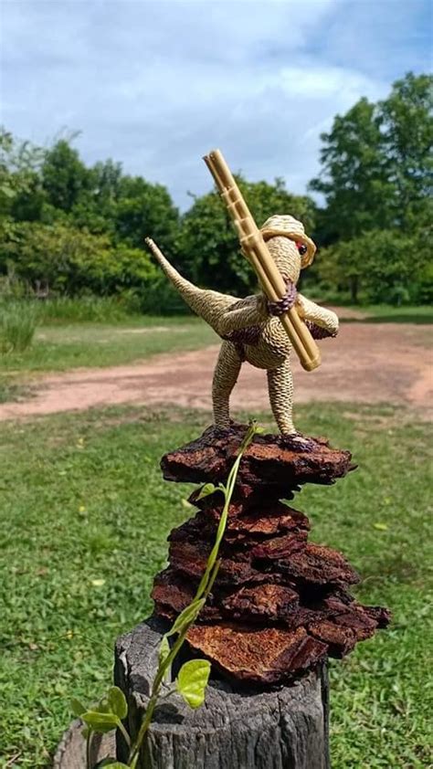 แฝกพืชมงคล ภาพสวยสวย จากสินค้า หญ้าแฝก ของสวนธรรมจักร