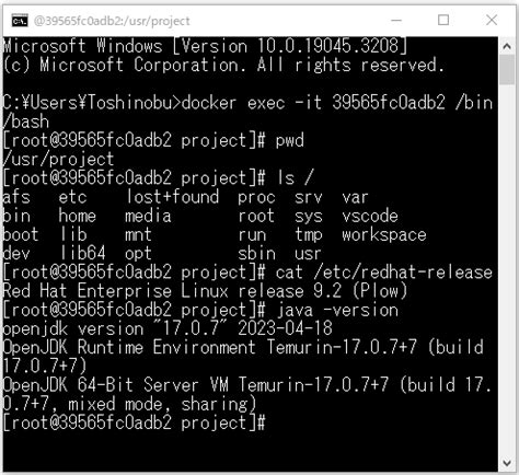 Rancher Desktopでdocker Error response from daemon invalid mount
