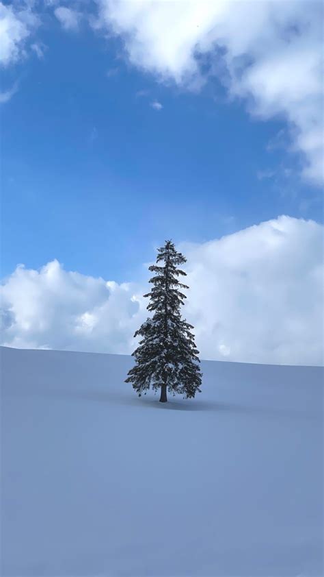 Explore The Beauty Of Sapporo Japan