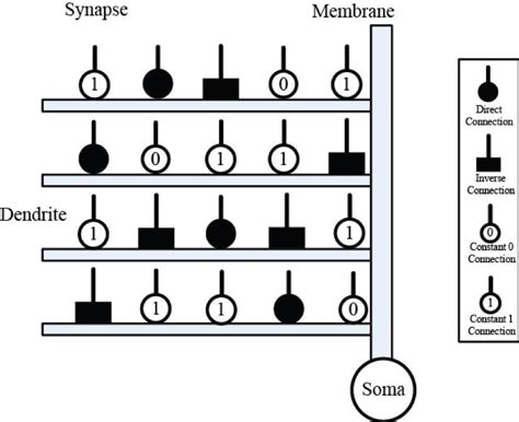 Training With States Of Matter Search Algorithm Enables Neuron Model