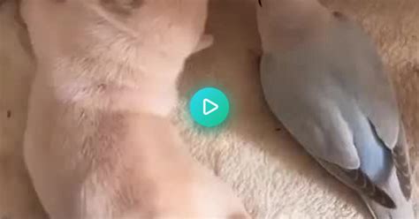 Feeding Time Album On Imgur