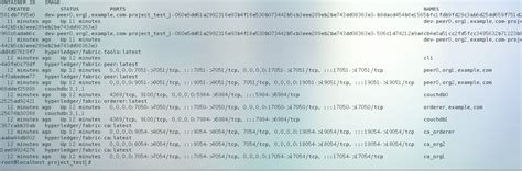 Docker How To Read A Ledger File Of A Local Hyperledger Fabric