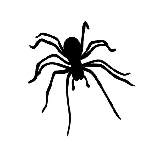 Silhueta De Aranha Isolada Em Branco Vetor Premium