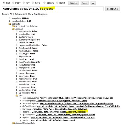 Api Get Salesforce Account Fields Stack Overflow