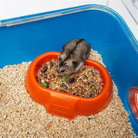FERPLAST Duna Fun Multi-Tier Hamster Cage - Chewy.com