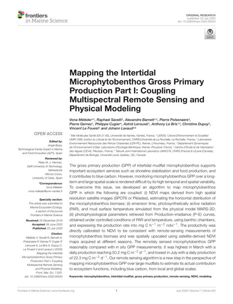 Pdf Mapping The Intertidal Microphytobenthos Gross Primary Production