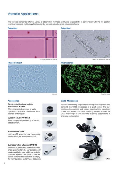 Olympus Upright Microscope Magnification 10x At ₹ 150000piece In Vapi