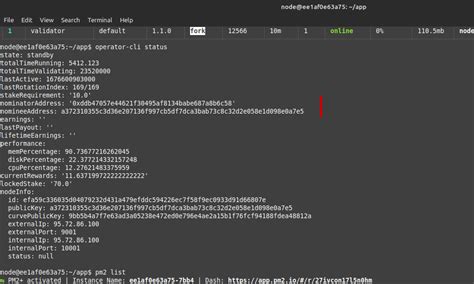 Validator Cli And Gui Shows Different Reward Value In Explorer · Issue