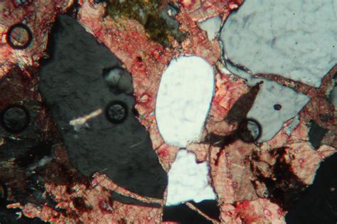 Dreams Nightmares Sandstone In Thin Section