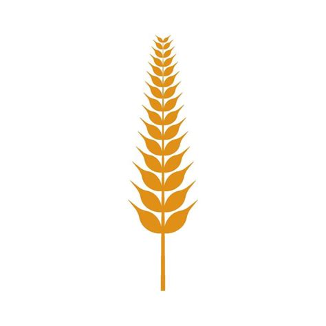Wheat Leaf Vector Art Icons And Graphics For Free Download