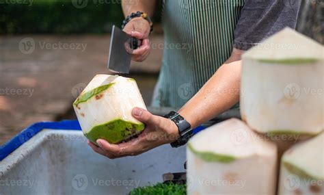 Coconut Shell Ready For Sale Coconut Water Refreshing Vacation
