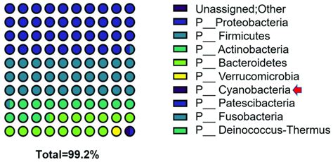 A 10 × 10 Dot Plot Graph Resulting From The Analysis Of The Microbiome Download Scientific