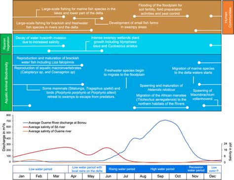 Graphical Representation Of The Timing And Scope Of Ecological And Download Scientific Diagram