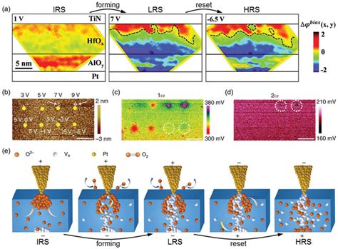 Evolution Dynamics Of Anion Migrationbased Conducting Filaments A
