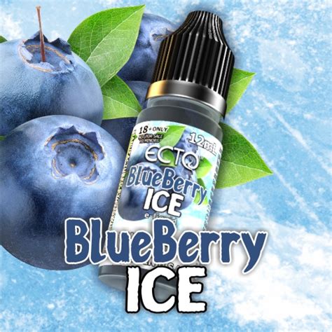 Blueberry Ice E Liquid 12ml Ecto Liquid