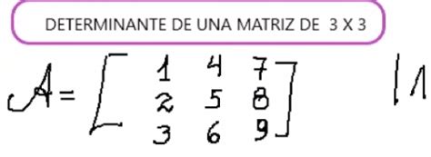 Solved DETERMINANTE DE UNA MATRIZ DE Math