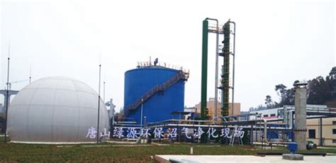 黔江餐厨垃圾沼气脱硫 沼气脱硫络合铁脱硫煤气脱硫生物脱硫沼气预处理沼气火炬 唐山绿源环保科技有限公司