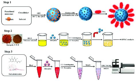 Schematic Diagram Of The Synthesis And Application Of Mips And Ramips Download Scientific