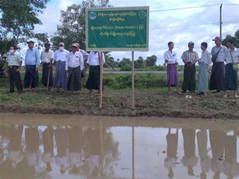 ကဝမြို့နယ်၌ မိုးစပါးမျိုးစေ့ချကိရိယာ Seeder ဖြင့် တိုက်ရိုက်မျိုးစေ့ချစိုက်ပျိုးခြင်း လက်တ