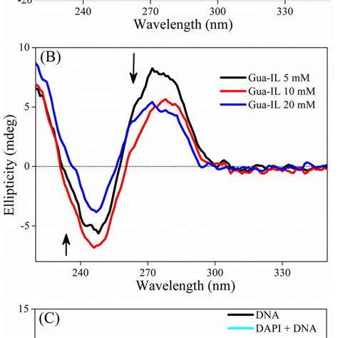 DNA Compaction Scheme A Plausible DNA Compaction Mechanism Download Scientific Diagram