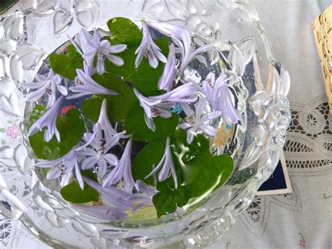 久しぶりの花遊びです。 のんびり佐賀関