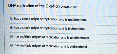 Solved Dna Replication Of The E Coli Chromosome Has A Single Origin Of Replication And Is