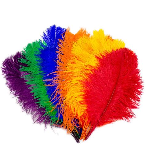 Ostrich Tails Zucker Feather Products Inc